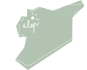 Savon d’Alep Authentique. Le secret d'une peau douce et purifiée